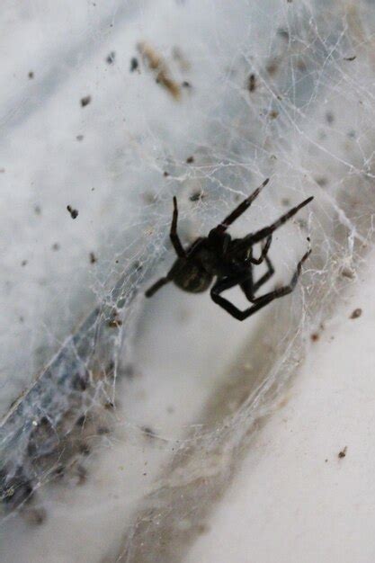 Premium Photo Open Edit