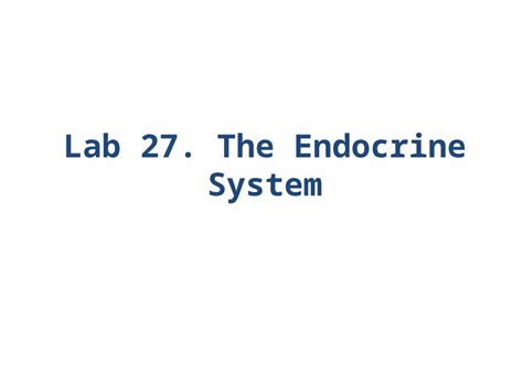 PPTX Lab 27 The Endocrine System DOKUMEN TIPS
