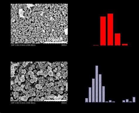 Morphology And Size Distribution Of A And B SiO And C And D NH Download Scientific