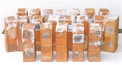 Efflorescence Its Remedies And How To Test On Bricks Happho