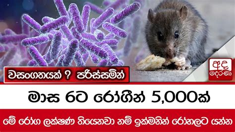 වසංගතයක් පරිස්සමින් මාස 6ට රෝගීන් 5 000ක් Youtube