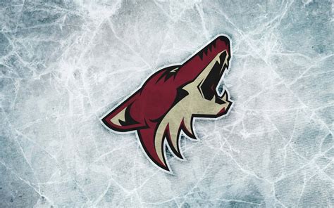 200 Arizona Coyotes Backgrounds