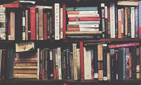 The Benefits Of Owning Physical Copies Of Your Favorite Books Ezee Brand