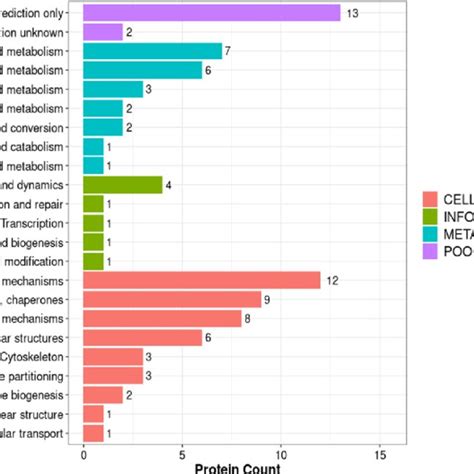 kog function classification of the deps the x axis displays the dep