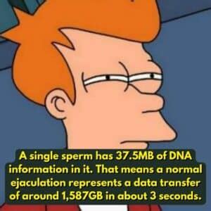 NSFW History Facts We Didnt Learn In Babe Page