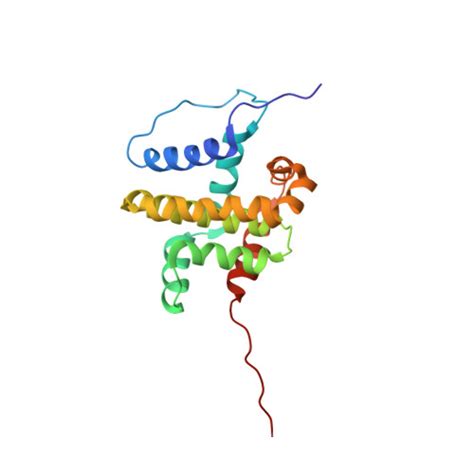 Rcsb Pdb 1mk3 Solution Structure Of Human Bcl W Protein