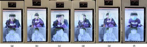 Test Results Of The Liveness Detection System Under Various Occlusion