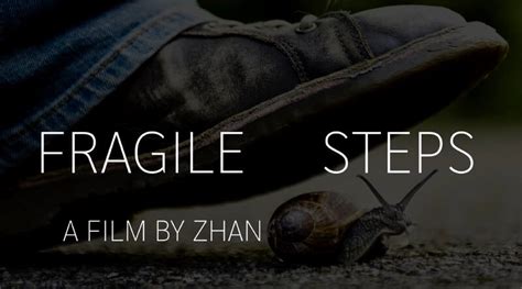 Fragile Steps Filmfreeway