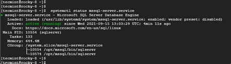 How To Install SQL Server In RHEL Rocky Linux And AlmaLinux