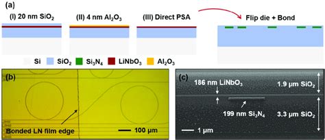 a three bonding approaches involving i sio 2 sio 2 covalent