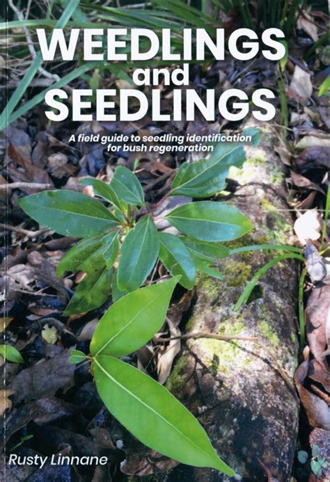 Weedlings And Seedlings A Field Guide To Seedling Identification For Bush Regeneration Nokomis