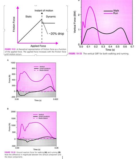 Biomechanics Exam Diagram Quizlet