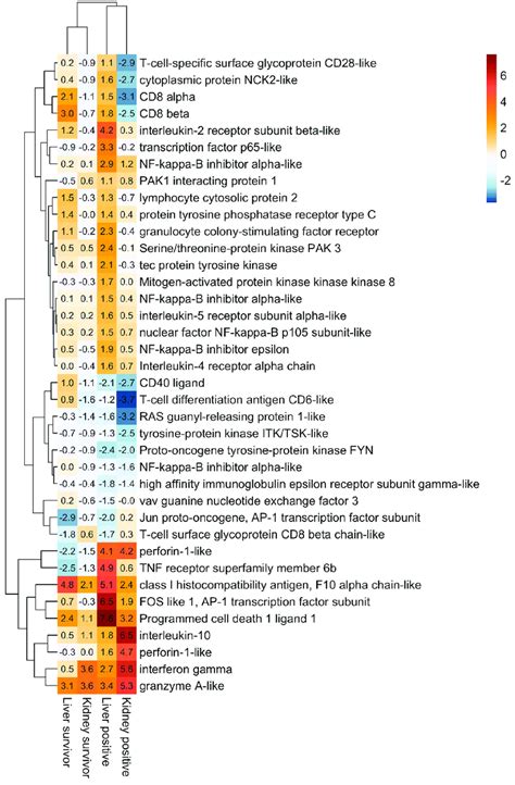 Heatmap Of Genes Involved In T Cell Receptor Signaling Pathway Each