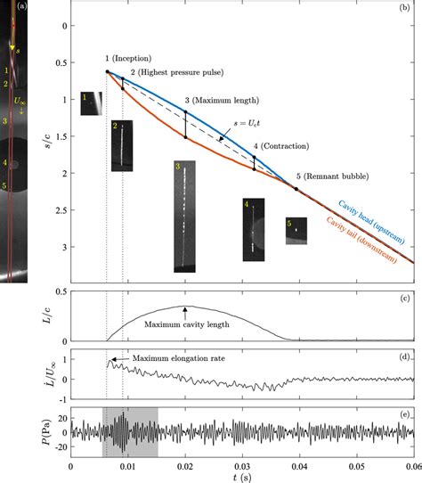 Spatial And Acoustic Measurements Of A Single Cavitation Event