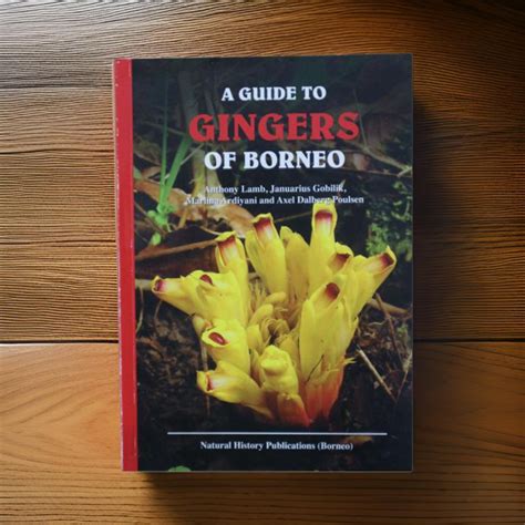 A Guide To Gingers Of Borneo Kadaiku