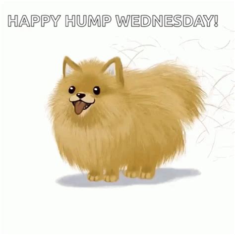 Cute Happy Wednesday S