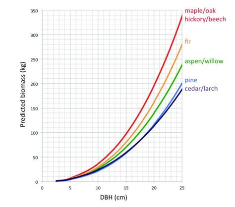Photosynthesis Calculating Biomass And Carbon Storage In Trees Earth Home Climate Change