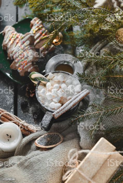 핫 초콜릿과 마시멜로 계피 스틱 쿠키 전나무 가지 양초 뜨거운 겨울 음료와 함께 1 잔 0명에 대한 스톡 사진 및 기타 이미지 Istock
