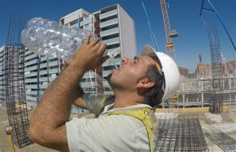 Une Baisse Des Performances Motrices Et Cognitives Est Observée Au Delà De 38 5°c Visuel