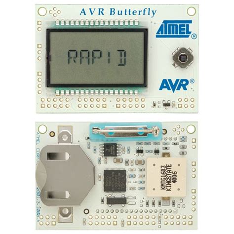 Butterfly Programming Ieee Robotics Butterfly Microcontrollers