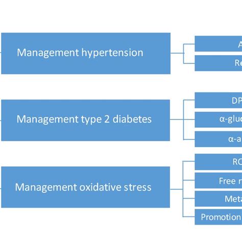Pdf Improving Health Promoting Effects Of Food Derived Bioactive