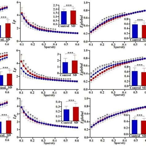 Comparative Results Of Functional Brain Network Indicators In Two