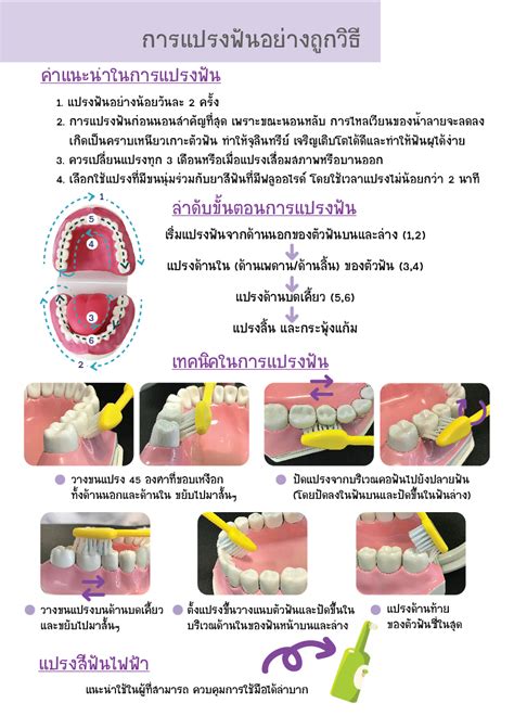 วิธีการทำความสะอาดช่องปากและซอกฟัน โรงพยาบาลบางโพ
