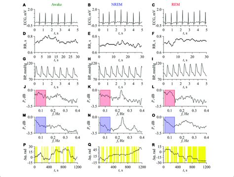 Experimental Signals Their Fourier Power Spectra And The Difference