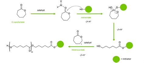 What Is ε Caprolactone Unilong Group
