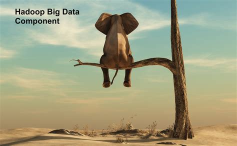 Proyectos Big Data Hadoop Mejore Sus Rendimientos Con Stambia