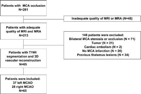 The Flowchart Of Patient Recruitment Mcao Middle Cerebral Artery