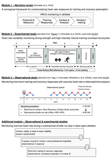 Methodological Overview Of The Doctoral Research Project Download
