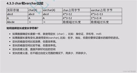 It数据类型详解：基础类别与应用 Csdn博客