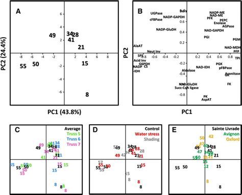 Comparison Of Enzyme Activity Profiles Obtained In Fruits Grown On Download Scientific Diagram