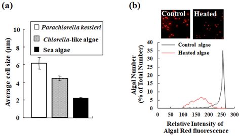 Example Of Evaluation Of Microalgae By The Automated Countess Tm Ii Fl Download Scientific