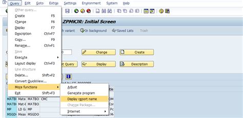 10 Useful Tips On Infoset Queries Sap Community