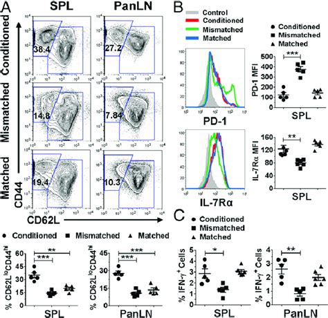 Induction Of Mhc Mismatched Mixed Chimerism Tolerizes The Peripheral
