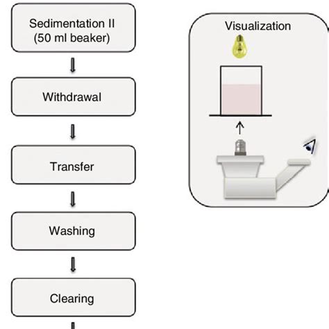colour online working sequences of a the reference method msm and