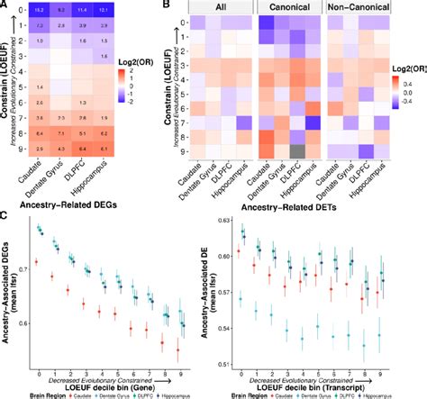 Ancestry Associated Genes And Canonical Transcripts Are Evolutionarily
