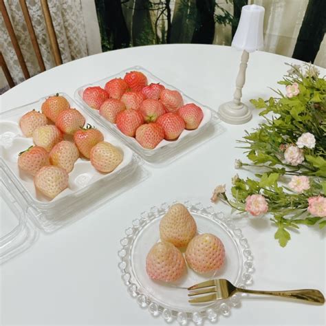 귀한 신데렐라 딸기 먹어봄 파인애플맛 나는 하얀딸기 백딸기 네이버 블로그