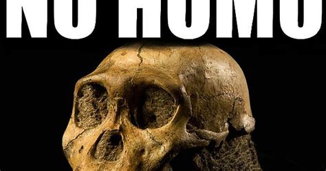 Our Evolutionary Ancestors Were Fucking Hot Imgur