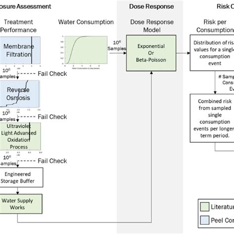Process Flow Diagram Of Qmra Stochastic Analysis Logic Cumulative
