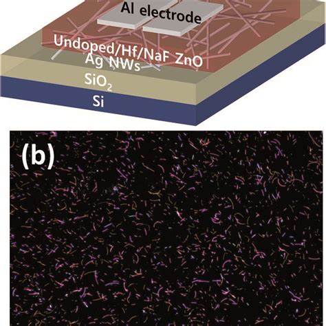 a schematic of the fabricated nonvolatile memory devices based on