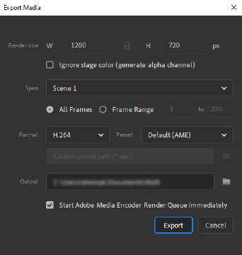 Export Graphics And Videos With Animate CC