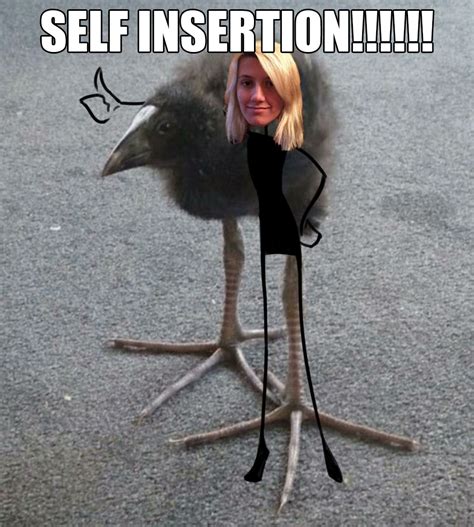 Pukeko Chick Meme Self Insertion Funny New Zealand Memes New