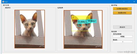 M基于faster Rcnn网络的猫脸检测和猫眼定位系统matlab仿真带gui界面猫脸识别算法 Csdn博客