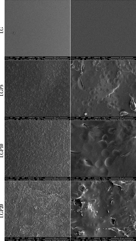 Figure 1 From Polylactide Based Films With The Addition Of Poly Ethylene Glycol And Extract Of