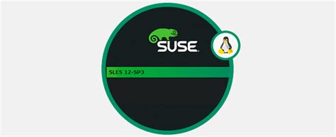 Cómo Instalar Suse Linux Enterprise Server 12 Sp3 Solvetic