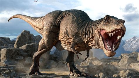 Hai chân trước có kích thước tí hon của khủng long Tyrannosaurus rex có ...