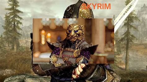 Create A Custom Skyrim Model 3d Model Fallout Character Mods Asset By Animatordeev Fiverr